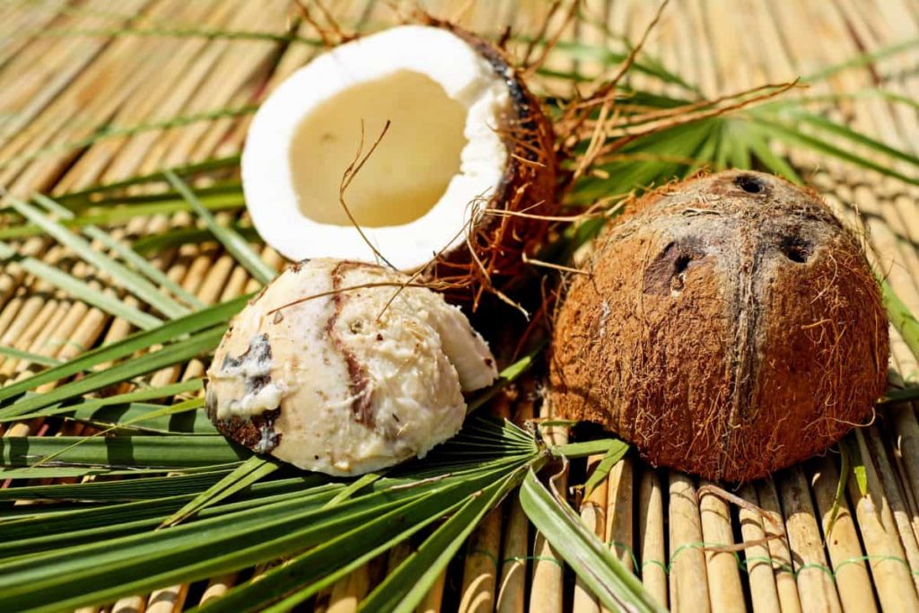 Beneficios de comer coco para la salud | Beneficios para la salud de la ...