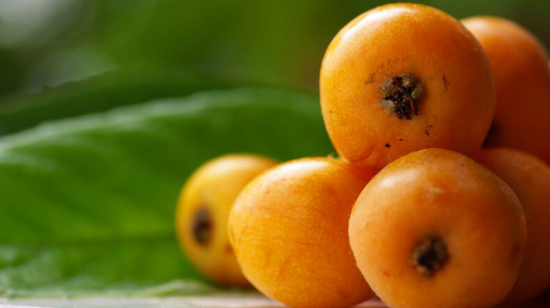 Beneficios del níspero - Beneficios para la salud de la actividad ...