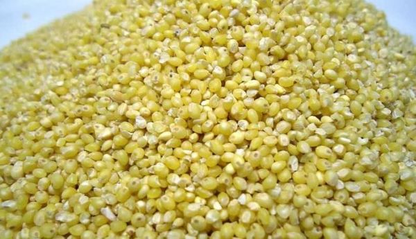 Beneficios del mijo - Beneficios para la salud de la actividad física y ...